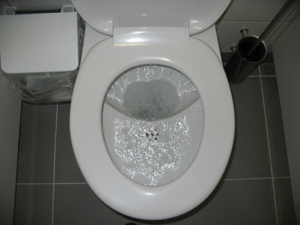 The 3 Poop Rule: The Gut Health Secret No One Told You About