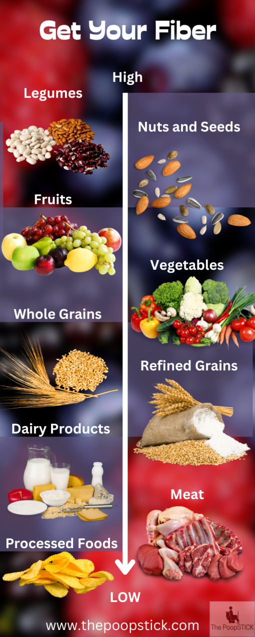 Understanding Your Health Through Your Pooping Schedule